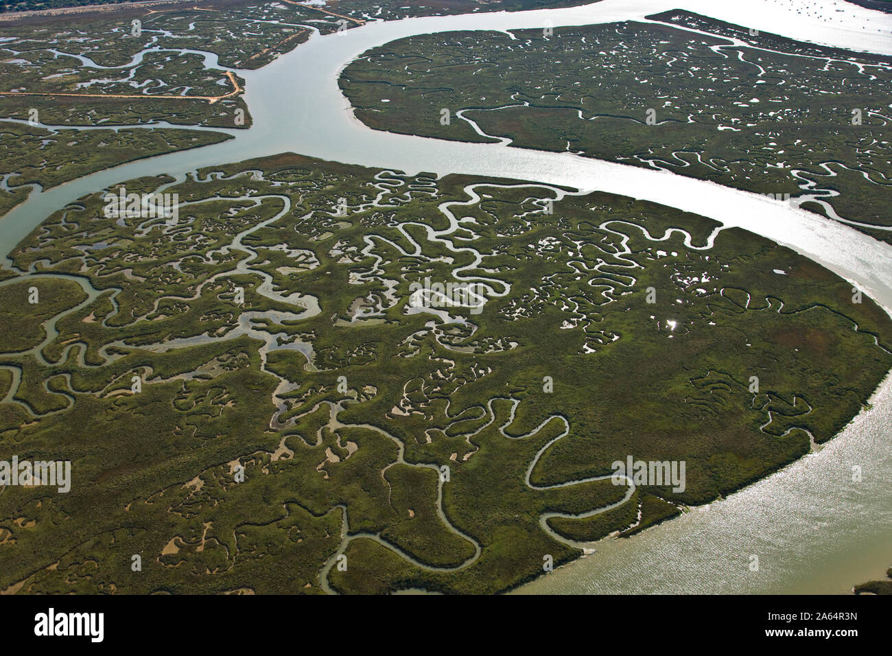 Odiel marshes Biosphere Reserve. Huelva province, Andalucia, Spain ...