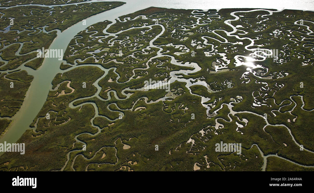 Odiel marshes Biosphere Reserve. Huelva province, Andalucia, Spain ...