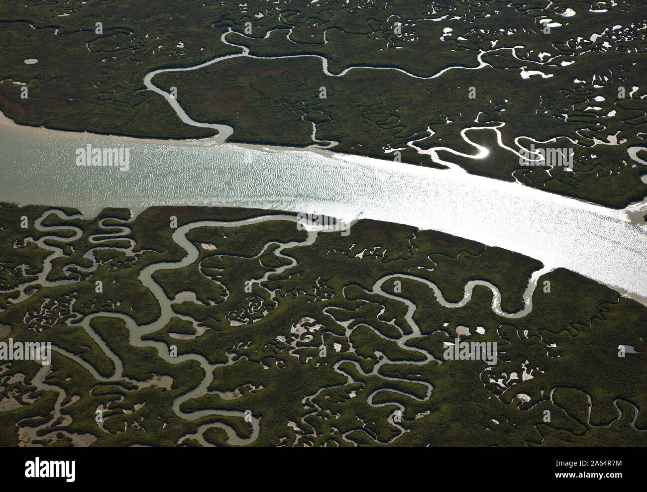 Odiel marshes Biosphere Reserve. Huelva province, Andalucia, Spain ...