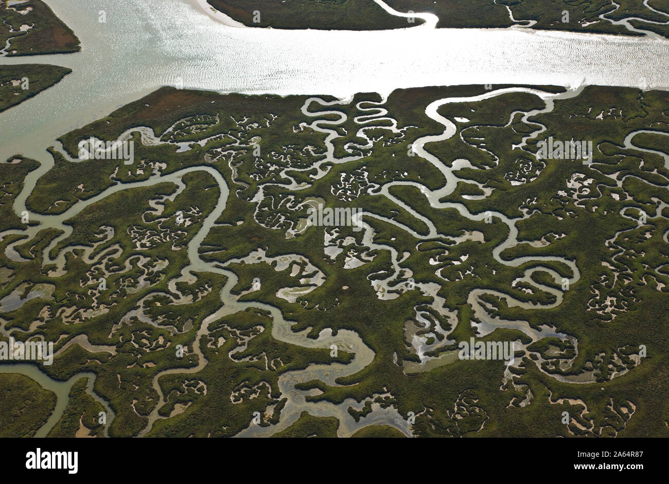 Odiel marshes Biosphere Reserve. Huelva province, Andalucia, Spain ...