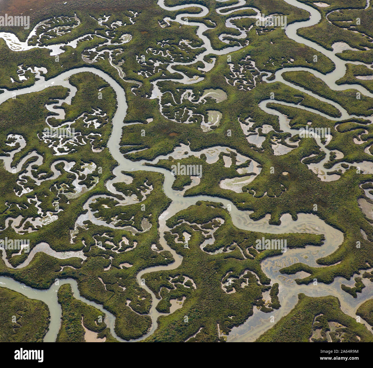 Odiel marshes huelva hi-res stock photography and images - Alamy