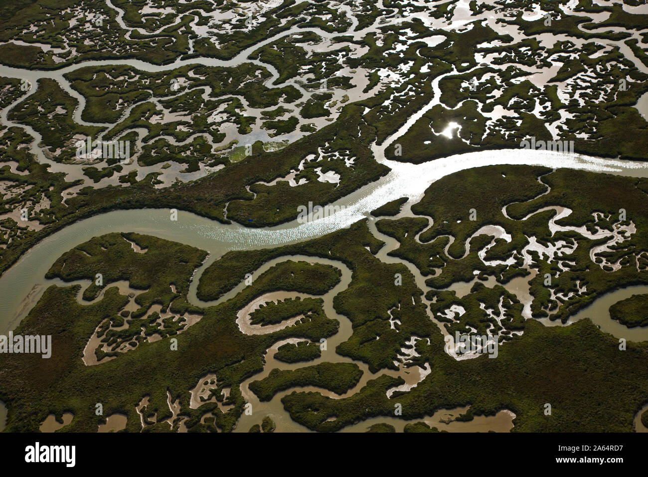 Odiel marshes huelva hi-res stock photography and images - Alamy