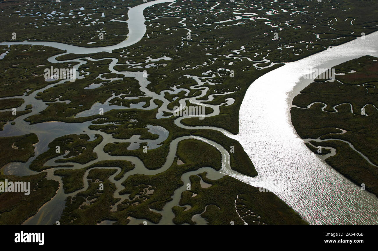 Odiel marshes Biosphere Reserve. Huelva province, Andalucia, Spain ...