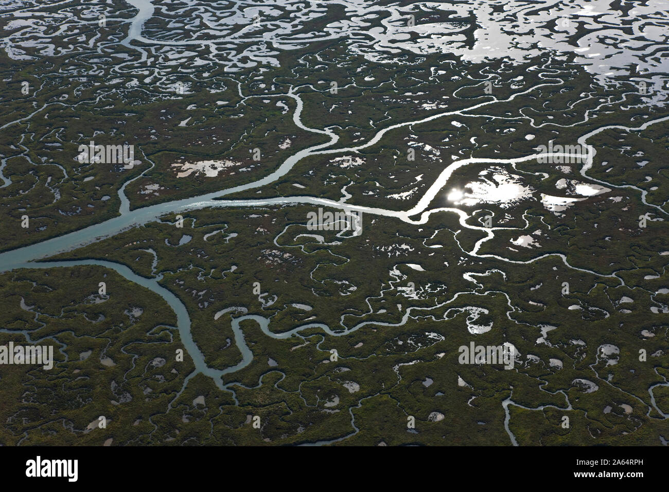 Odiel marshes Biosphere Reserve. Huelva province, Andalucia, Spain ...