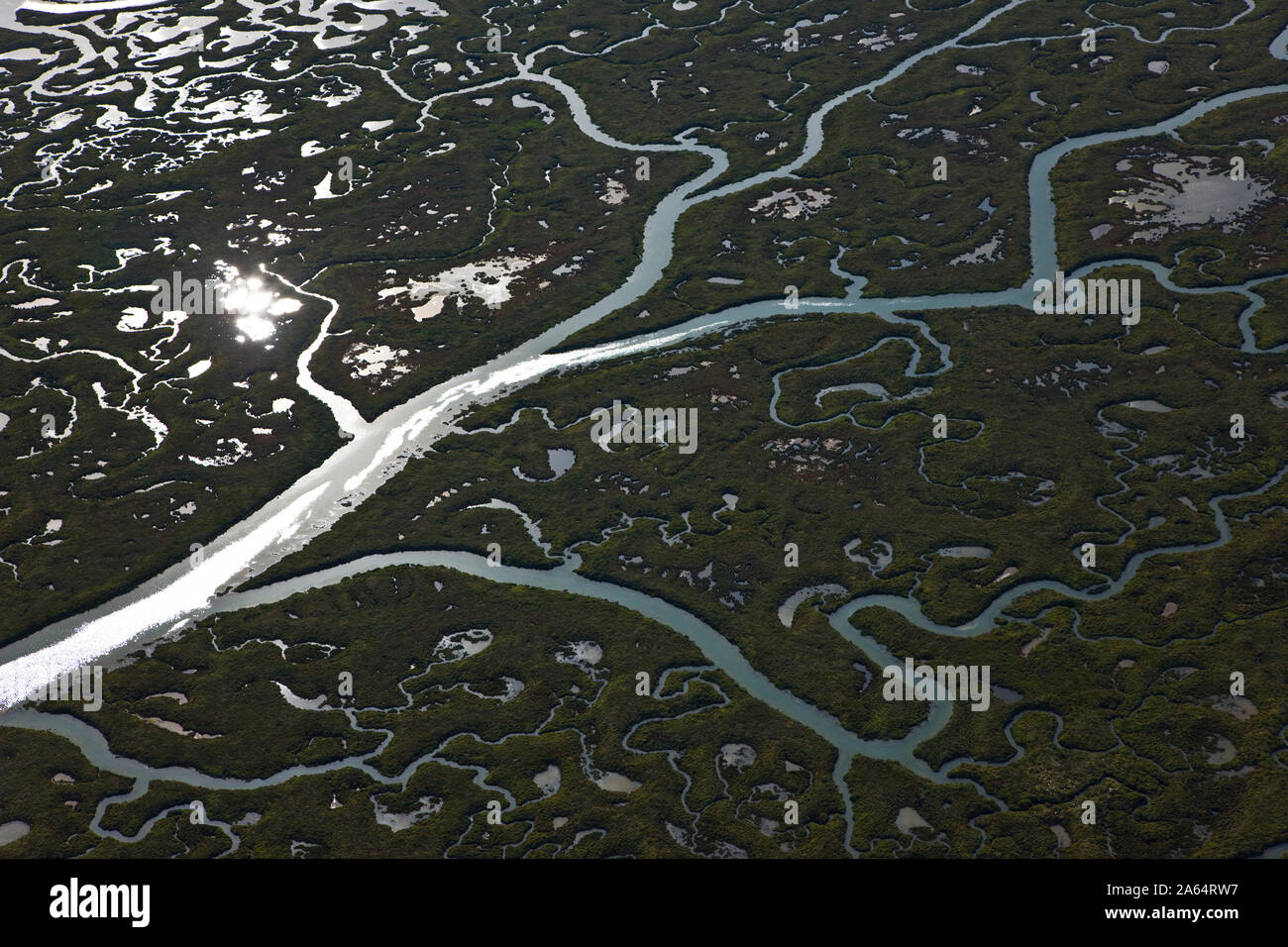 Odiel marshes Biosphere Reserve. Huelva province, Andalucia, Spain ...