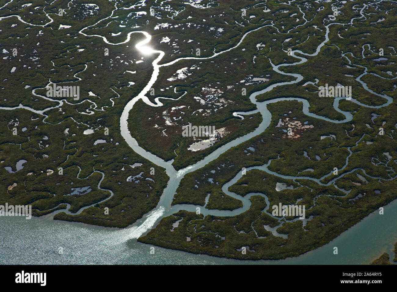 Odiel marshes huelva hi-res stock photography and images - Alamy