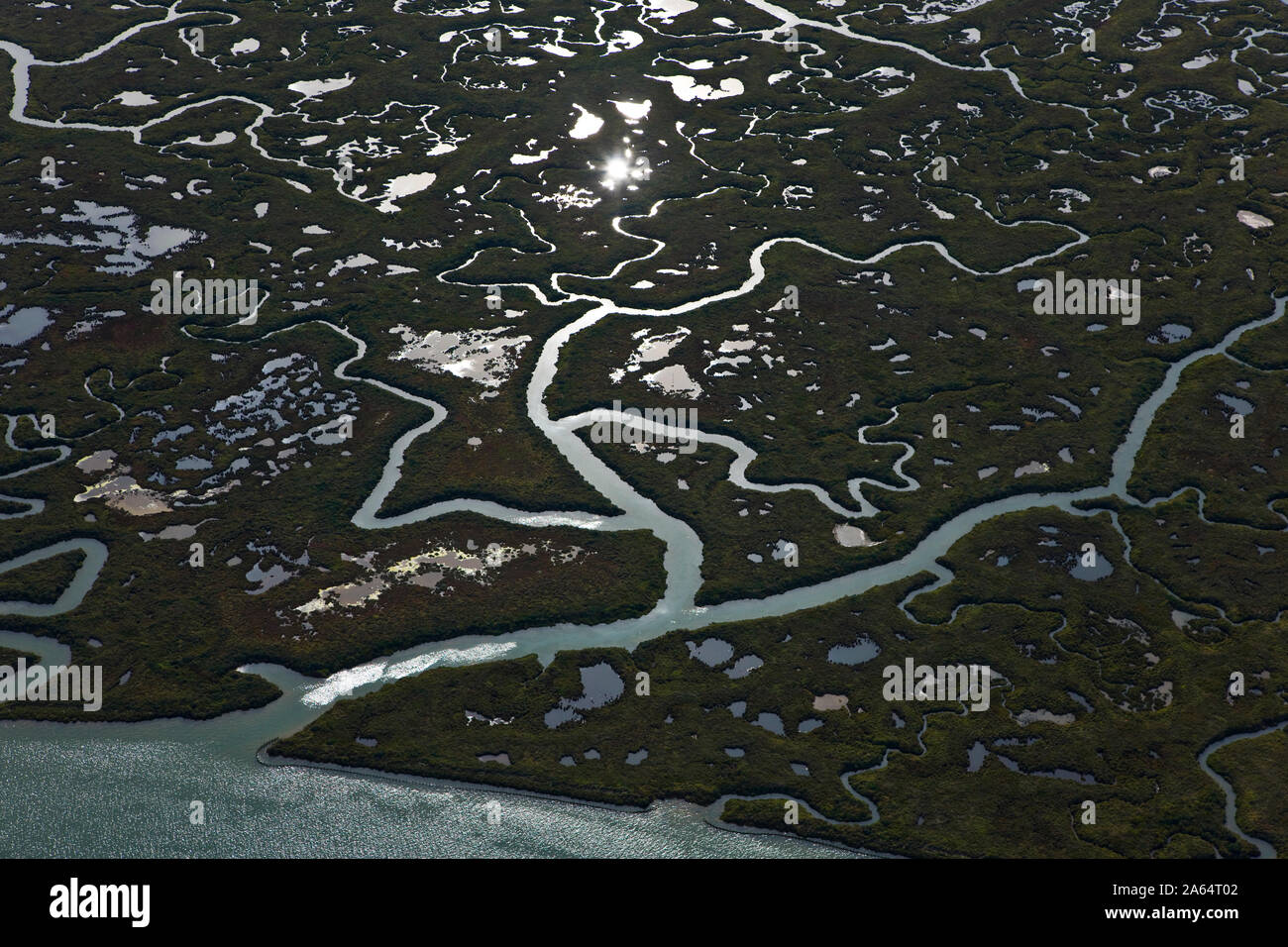 Odiel marshes Biosphere Reserve. Huelva province, Andalucia, Spain ...