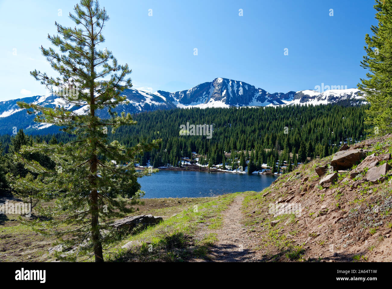 Andrews lake hi-res stock photography and images - Alamy
