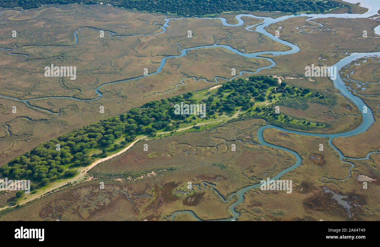 Odiel marshes Biosphere Reserve. Huelva province, Andalucia, Spain ...