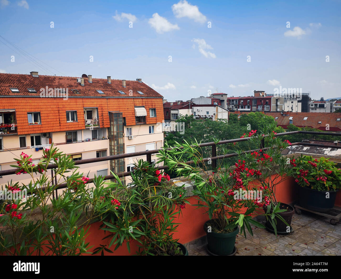 Belgrade Aged Rooftops in Dorcol Panoramic View Stock Photo - Alamy