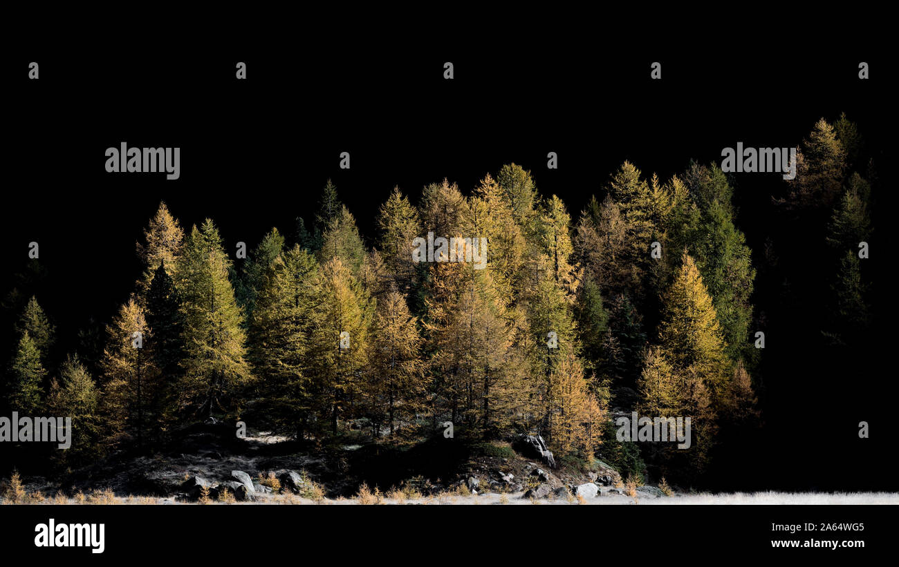 All the colors of autumn, Alps mountains Stock Photo - Alamy