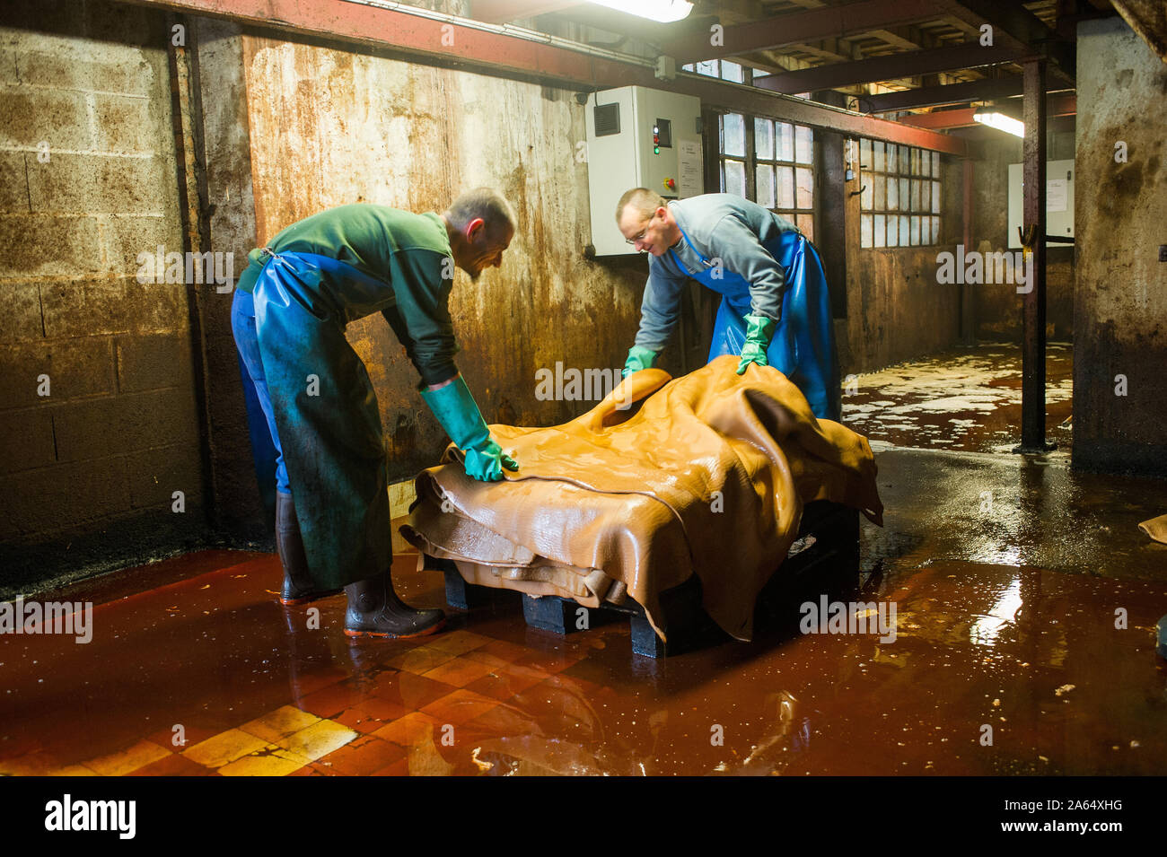 Bellac (central western France). Tannerie Gal, tannery specializing in ...