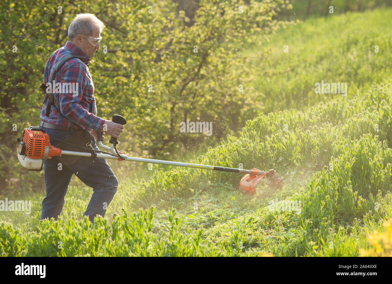 Mower mows green grass manual hi-res stock photography and images - Alamy