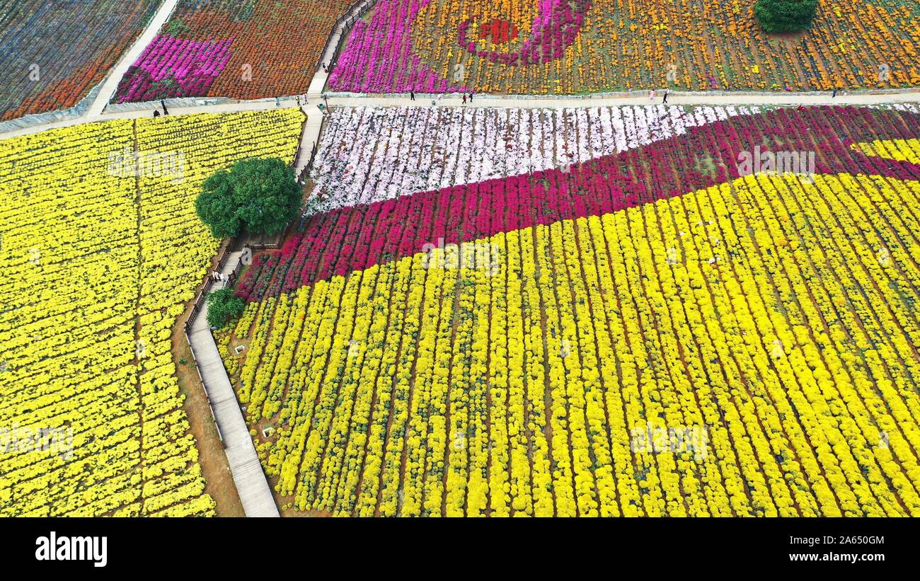 Majiang hi-res stock photography and images - Alamy