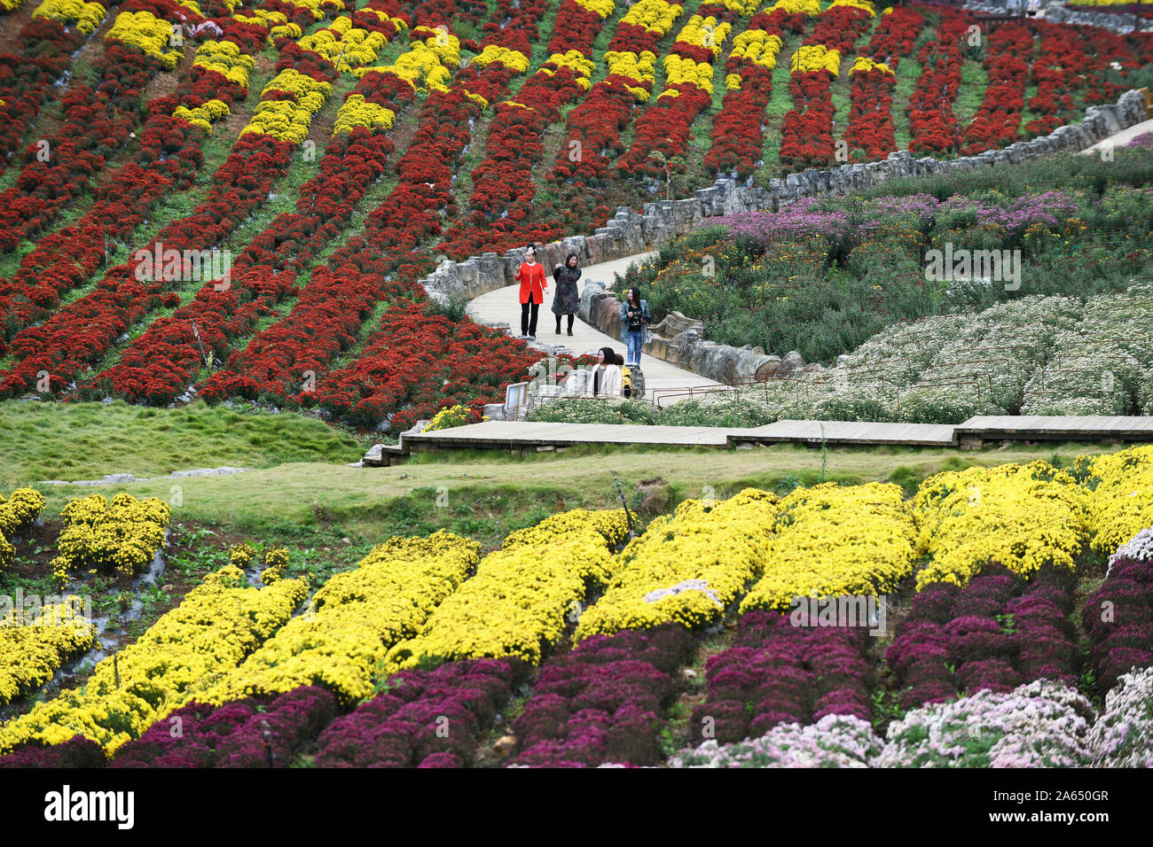 Majiang hi-res stock photography and images - Alamy