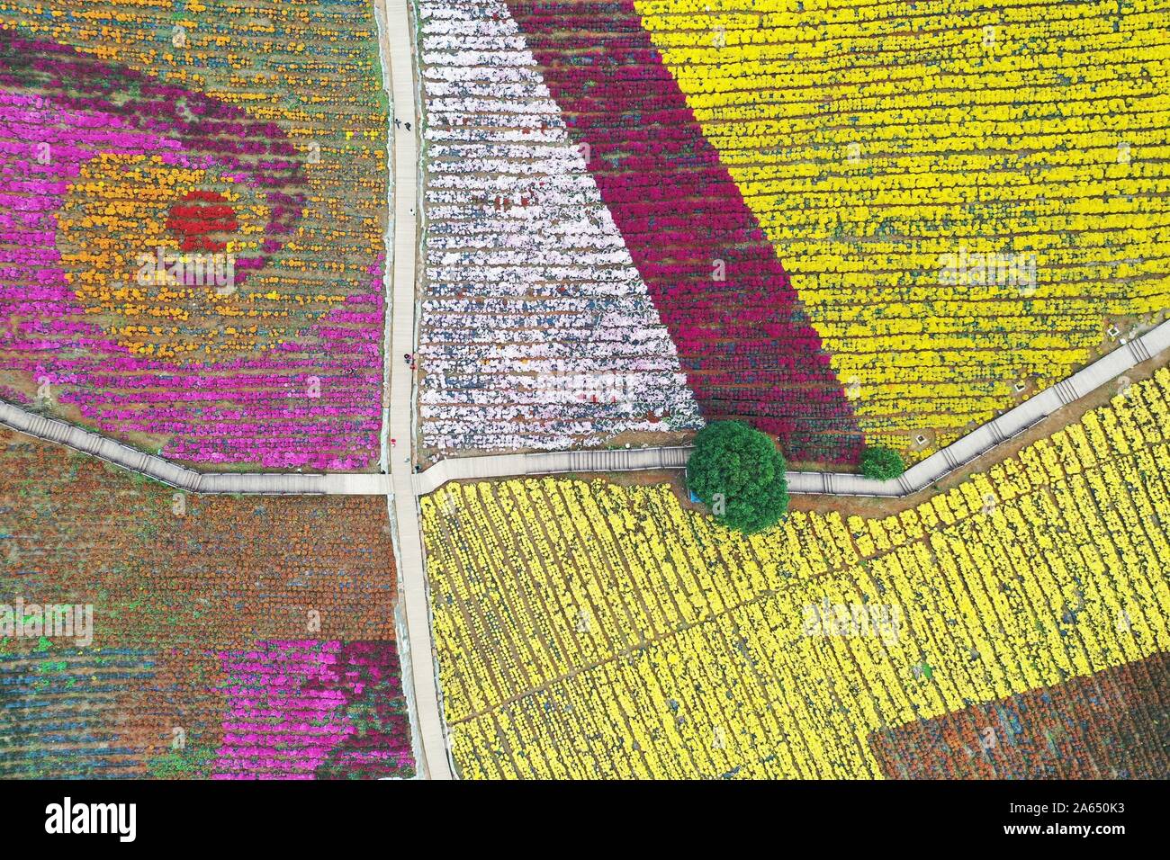 Majiang hi-res stock photography and images - Alamy