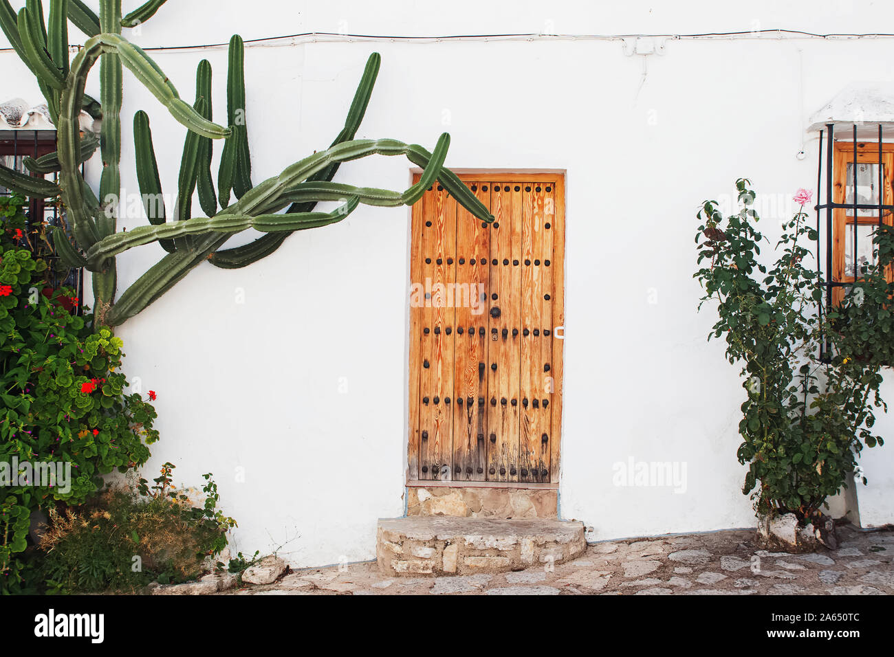 Cactus wooden door hi-res stock photography and images - Alamy
