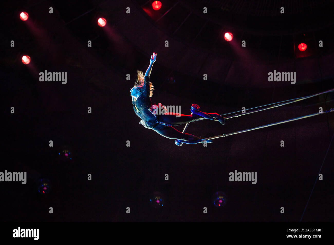 performance of air acrobats in the circus Stock Photo - Alamy