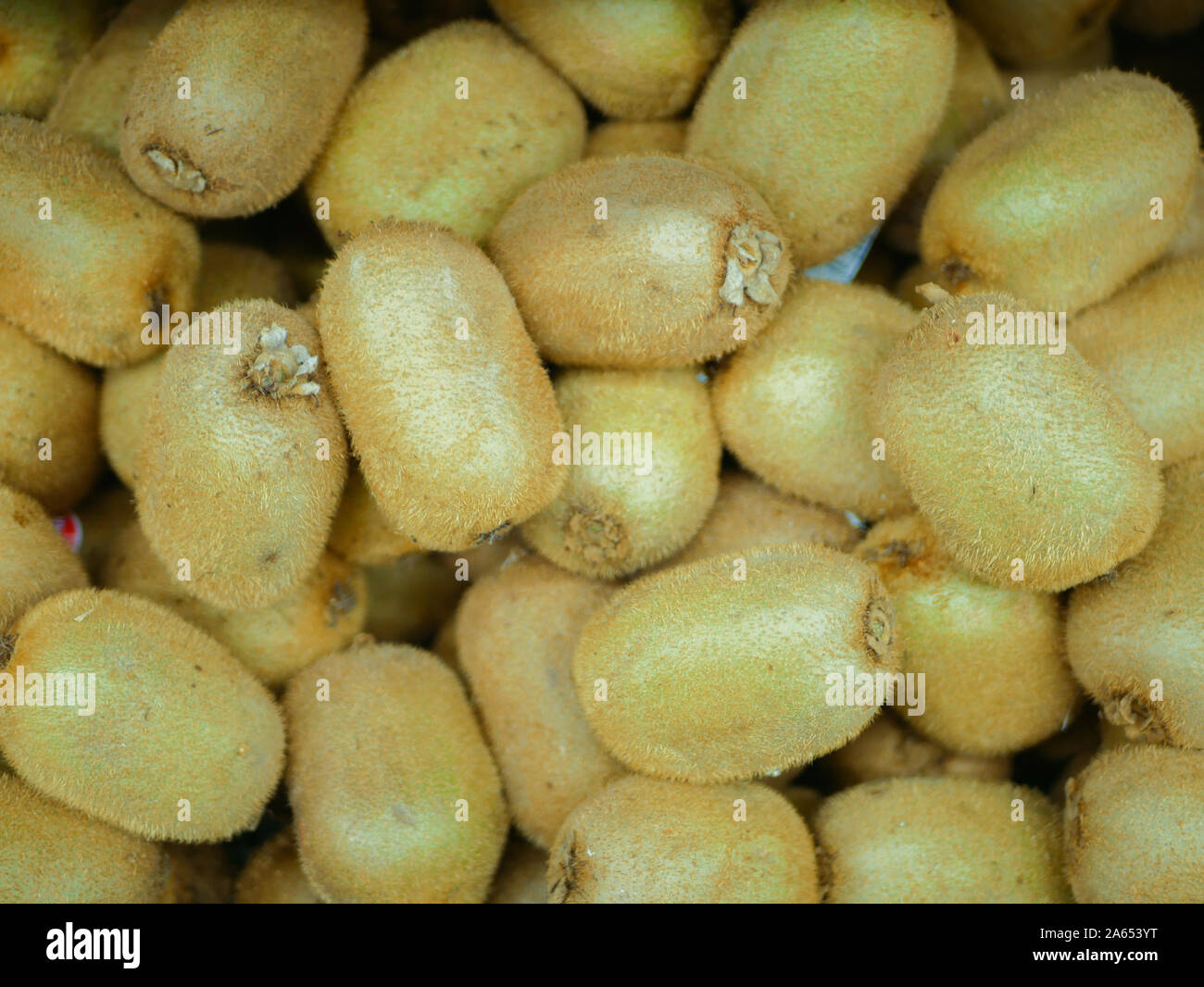 ripe kiwi on the counter. Collection of ripe kiwi in a shop window ...