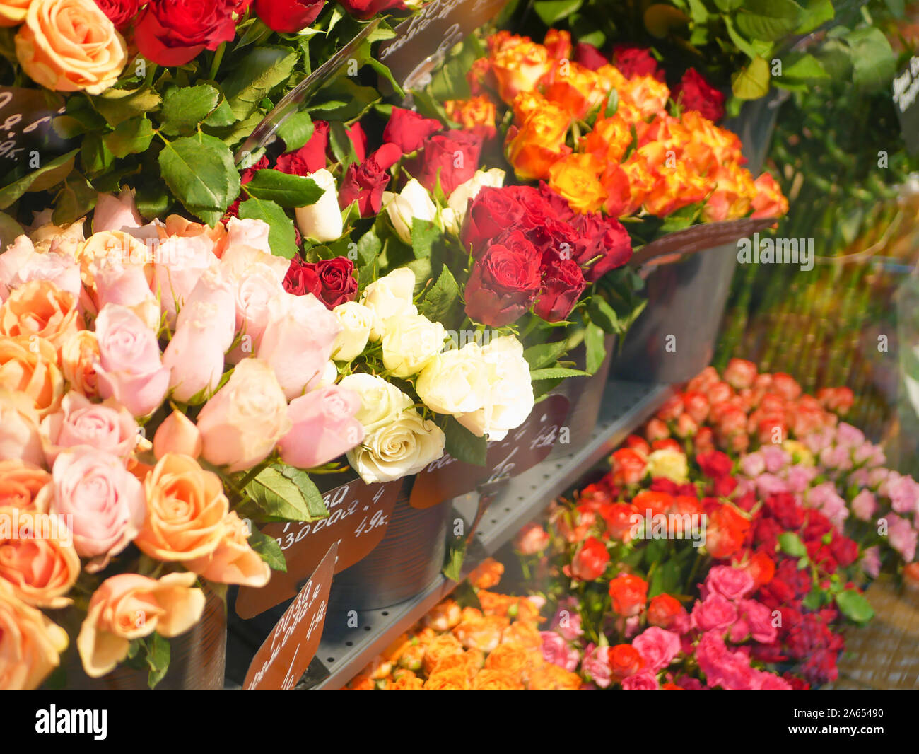 bouquets of flowers in a flower counter. flowers beloved woman Stock ...
