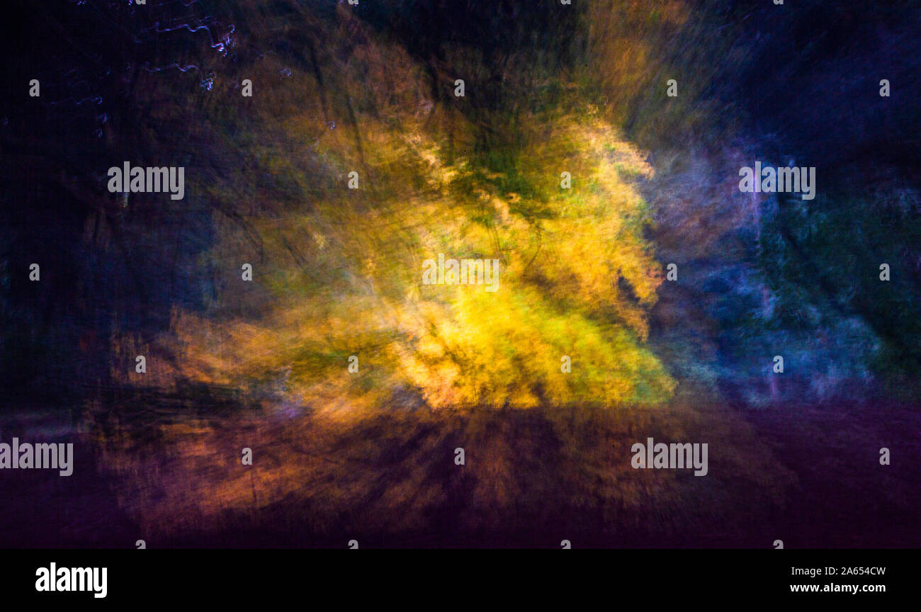 Abstract photograph of a tree in fall colors. Seems like the light is ...