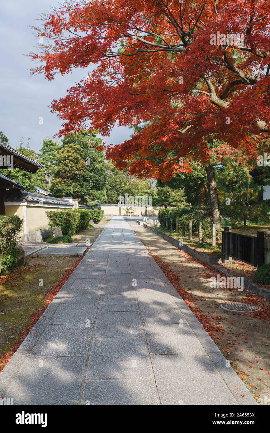 Traditional japanese temple hi-res stock photography and images - Alamy