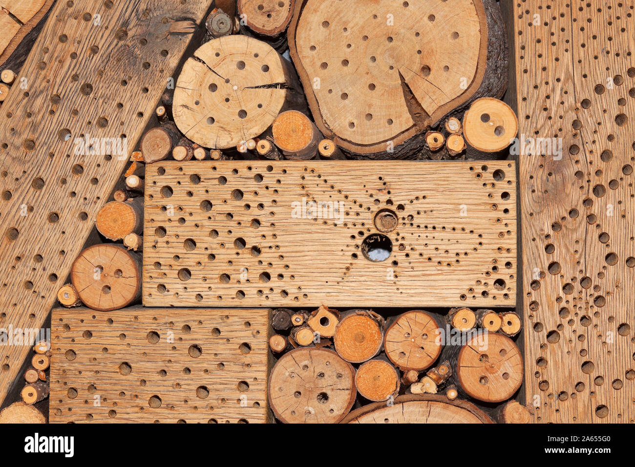 Insect hotel many insect species hi-res stock photography and images ...