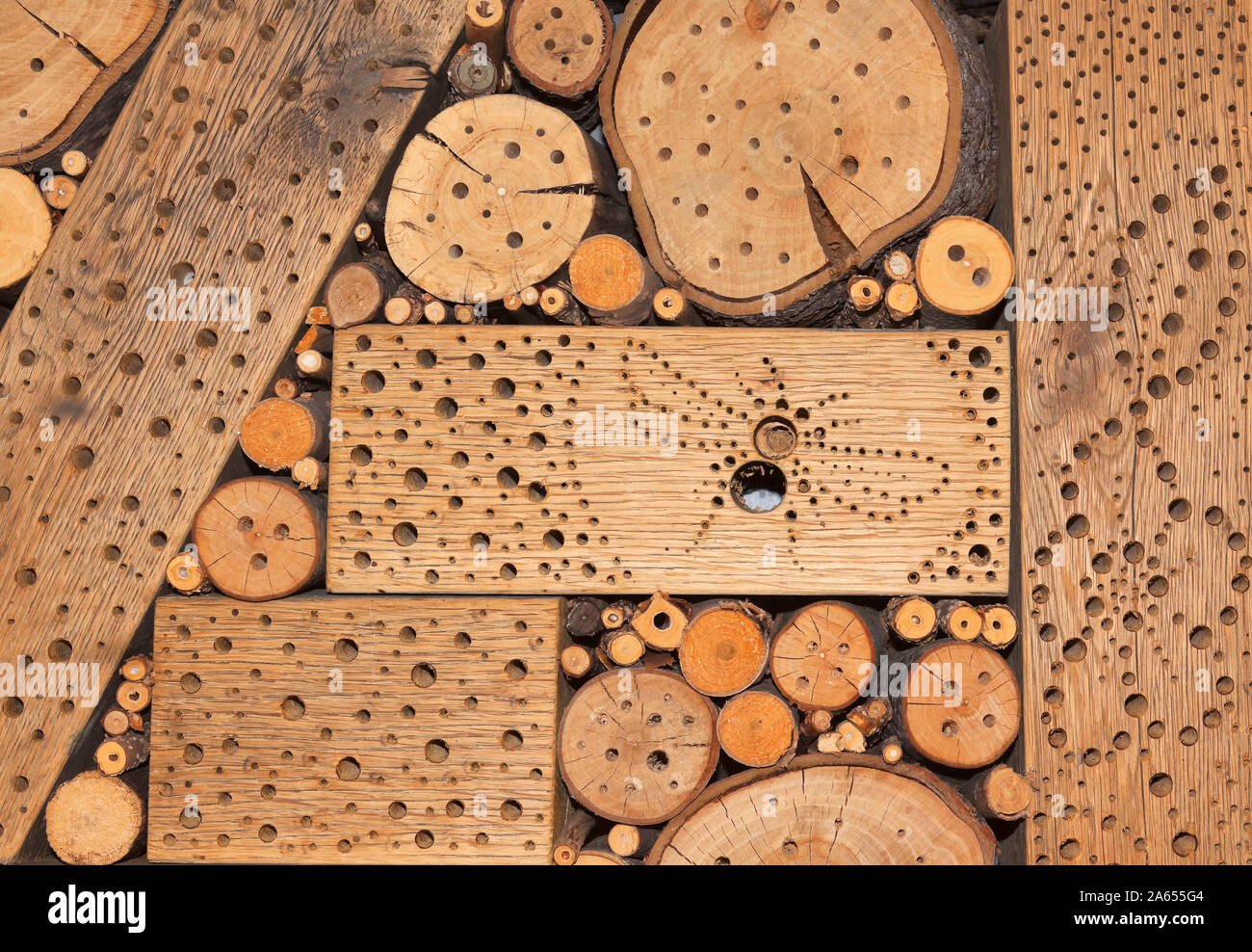 Insect hotel, also known as a bug hotel or insect house, is a manmade ...