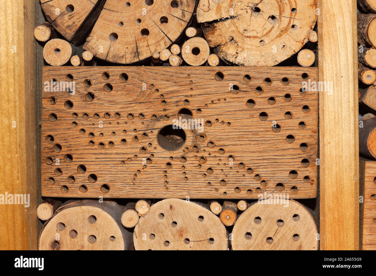 Insect hotel, also known as a bug hotel or insect house, is a manmade ...