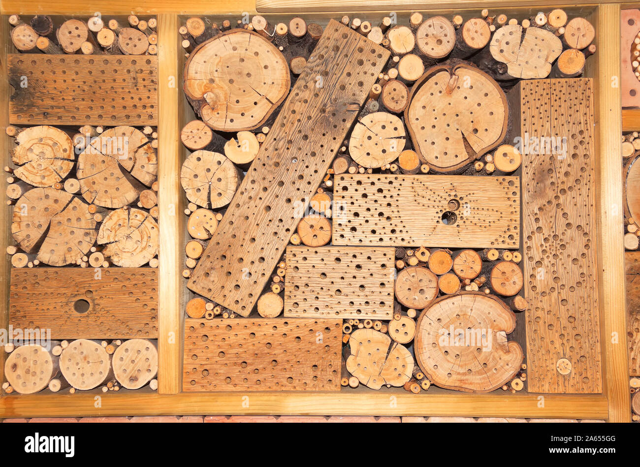 Insect hotel, also known as a bug hotel or insect house, is a manmade ...