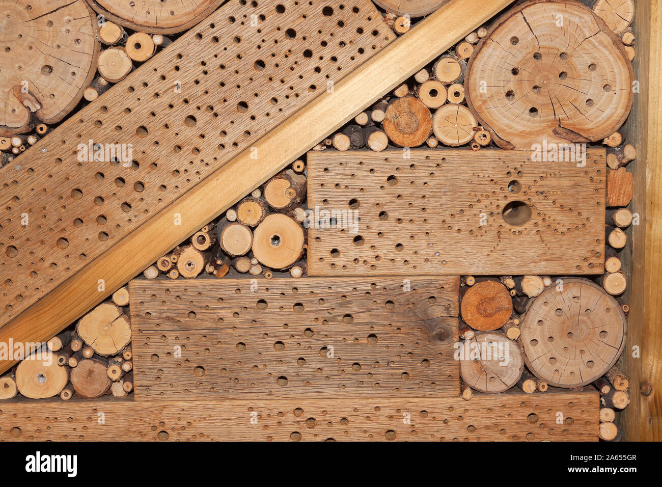 Insect hotel, also known as a bug hotel or insect house, is a manmade ...