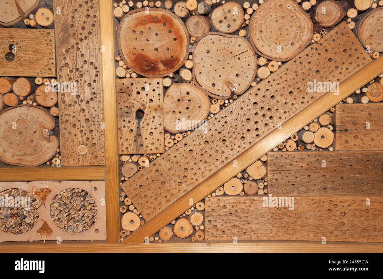 Wintering help insects hi-res stock photography and images - Alamy