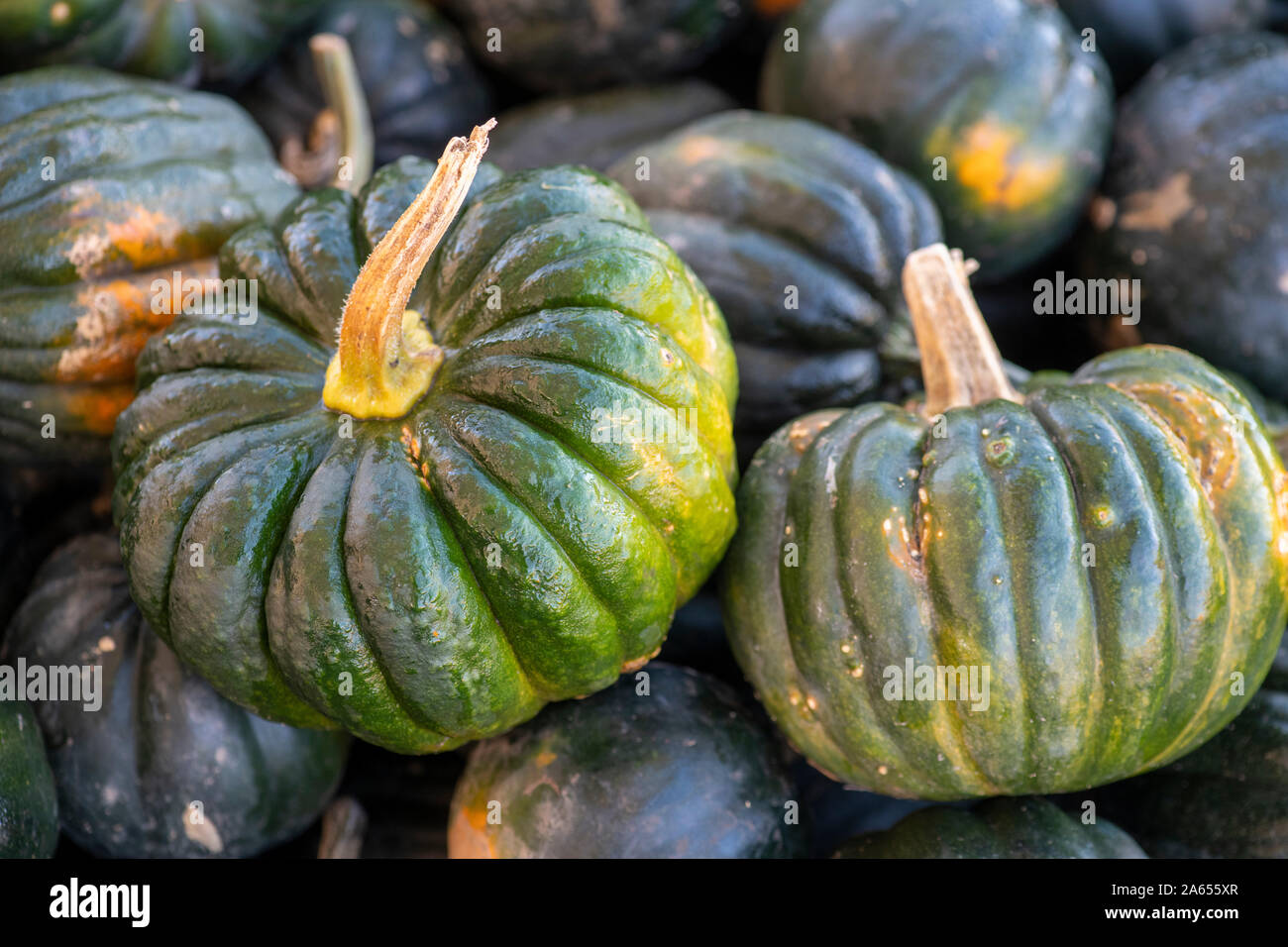 Coloured shape hi-res stock photography and images - Alamy