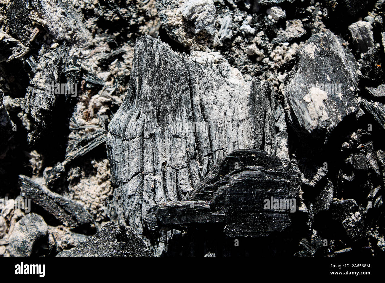 Background with black burnt wood. Charcoal texture backdrop. Bonfire ...