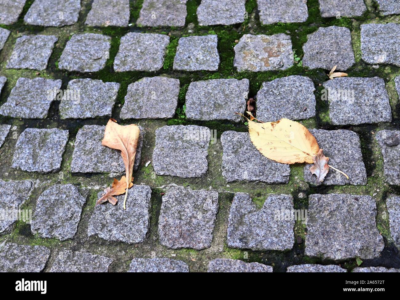 Highly detaled close up view on cobblestone textues with perspective in ...