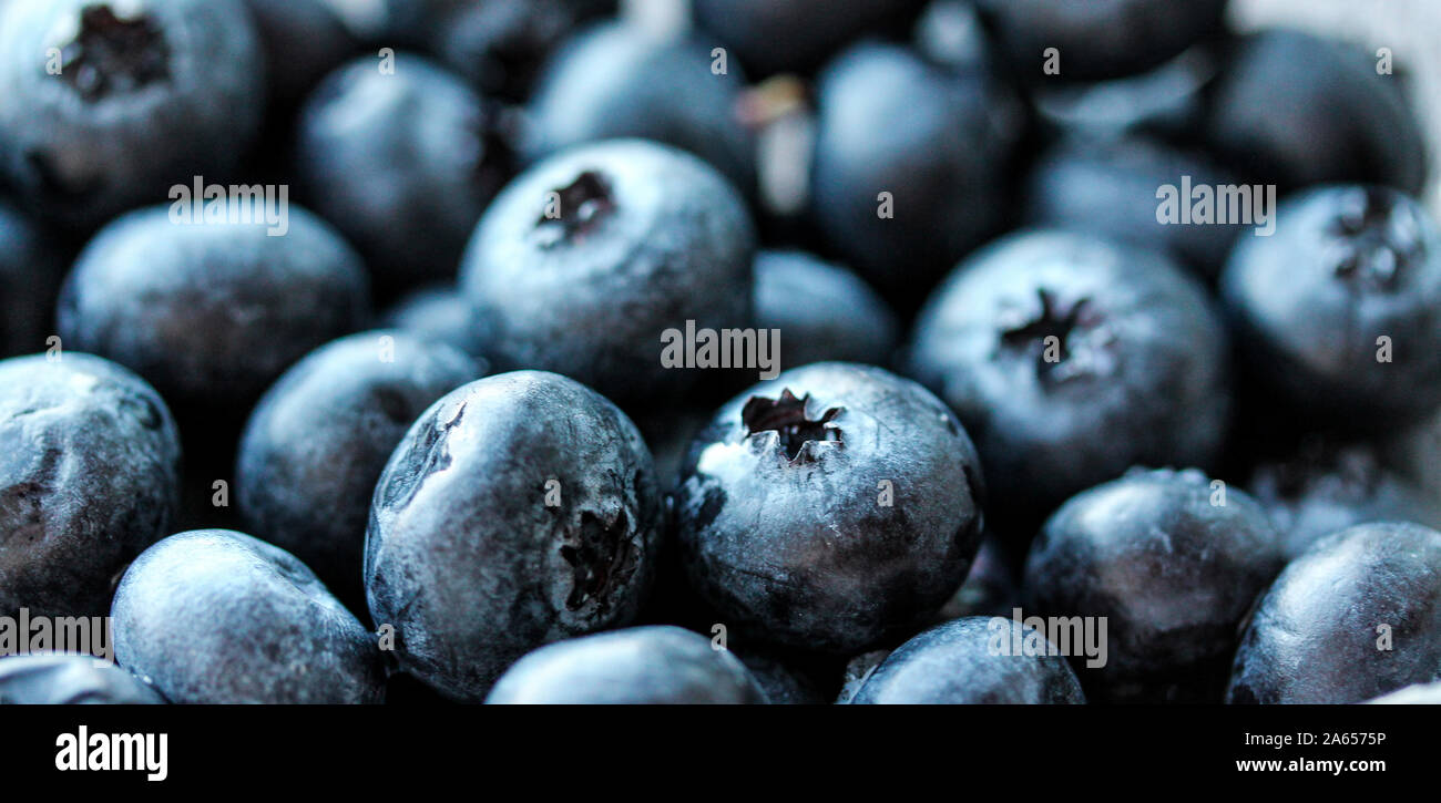 Background with fresh blueberries closeup. Blueberry macro photography ...