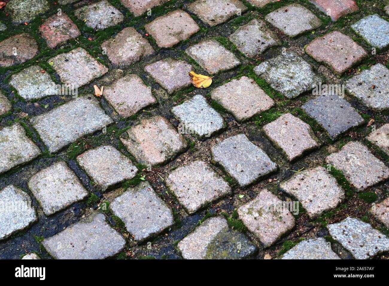 Highly detaled close up view on cobblestone textues with perspective in ...