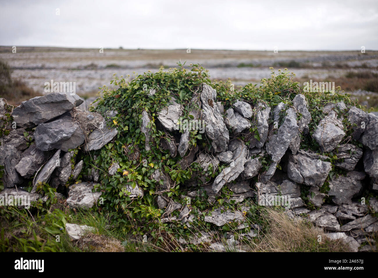 Ireland, County Clare: dry stone wall in the Burren region Stock Photo ...