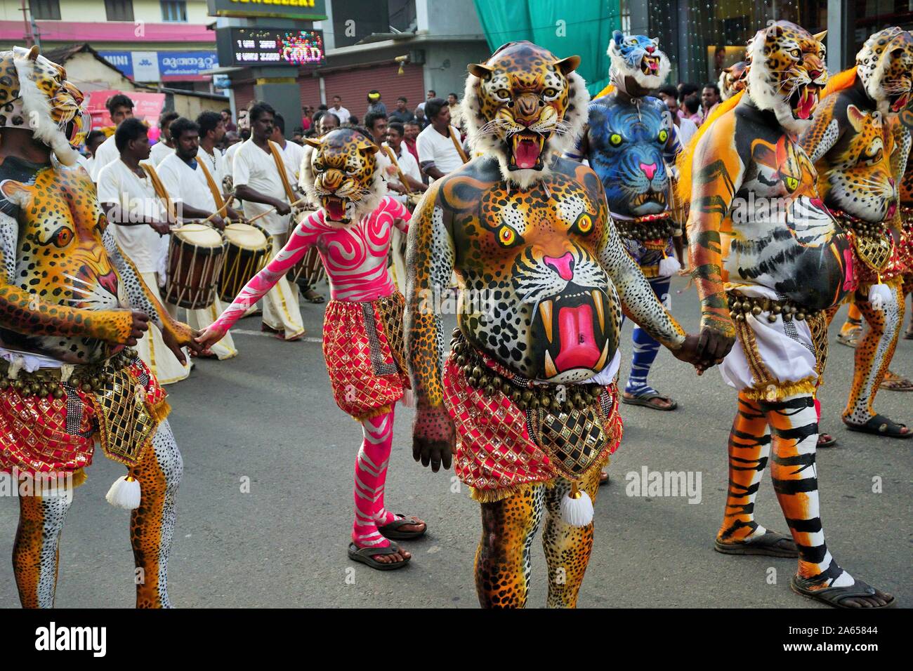 Pulikali Tiger Dance procession, Onam festival, Thrissur, Kerala, India ...