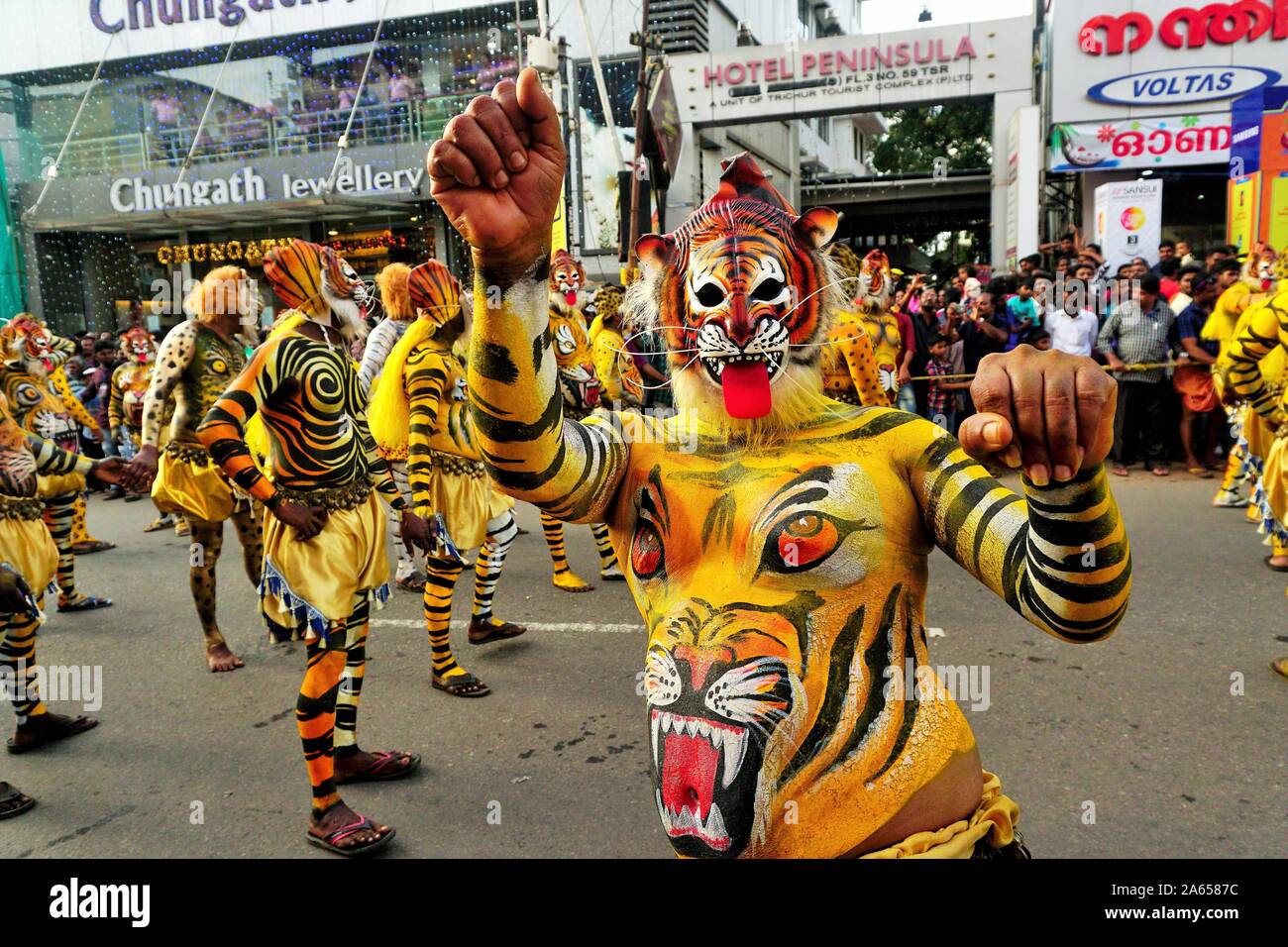 Pulikali Tiger Dance procession, Onam festival, Thrissur, Kerala, India ...
