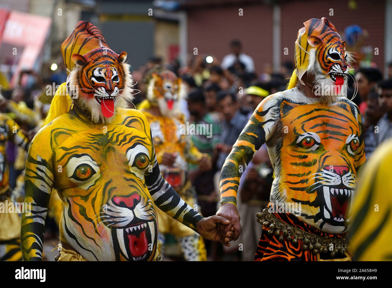 Pulikali Tiger Dance procession, Onam festival, Thrissur, Kerala, India ...