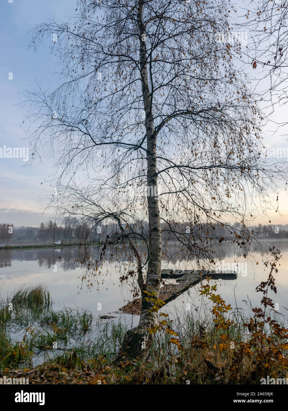 sunset landscape, blurred background, lake mist, blurred foreground ...