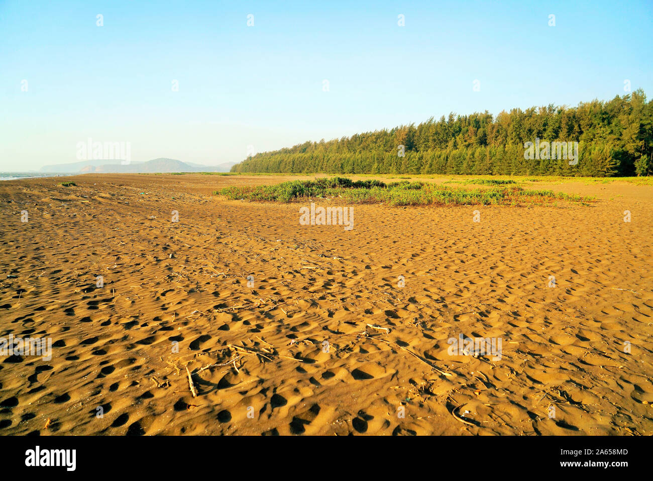 Velas Beach, Ratnagiri, Maharashtra, India Stock Photo - Alamy