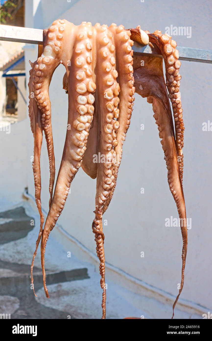 Drying the octopus in the sun, Greece Stock Photo - Alamy