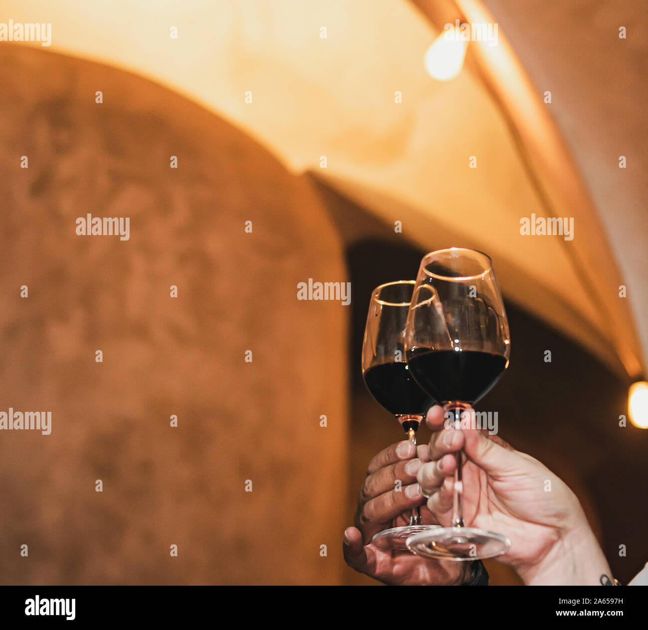 Raise a glass of red wine hi-res stock photography and images - Alamy