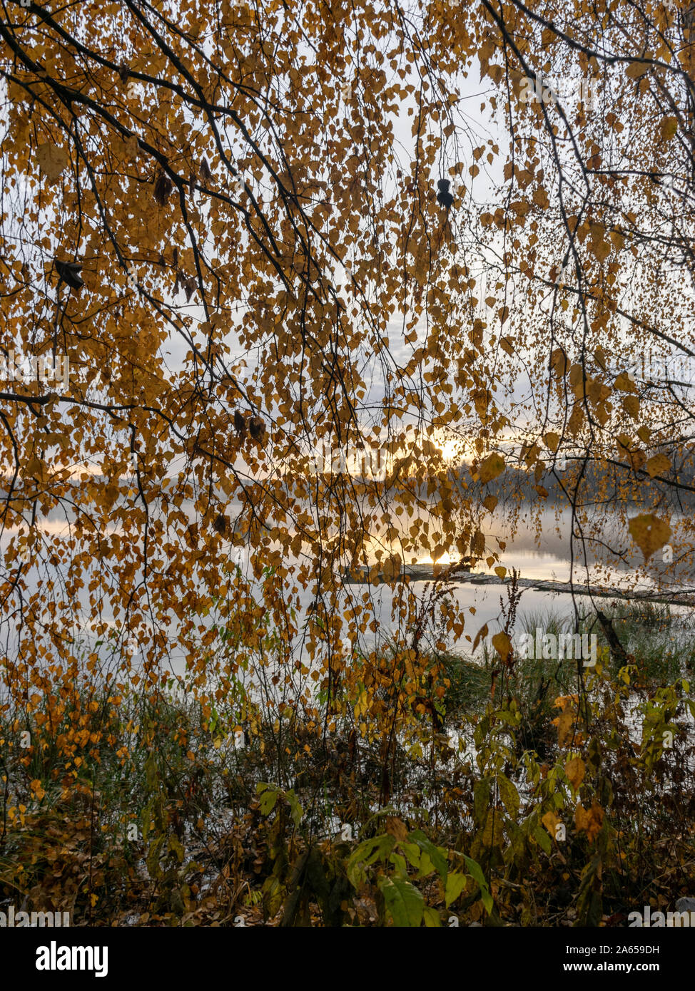 sunset landscape, blurred background, lake mist, blurred foreground ...