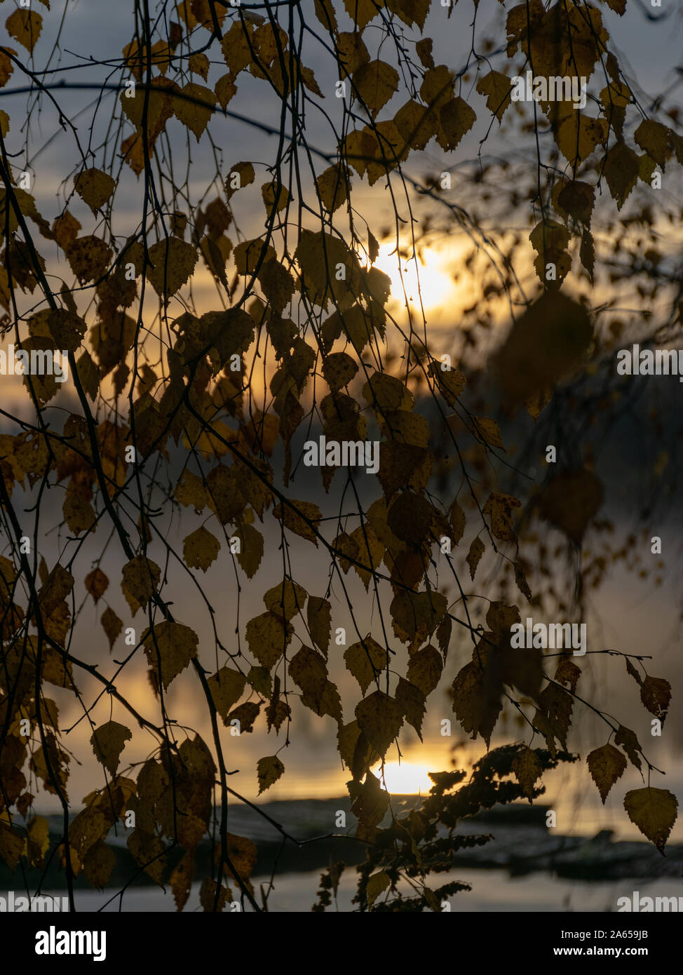 sunset landscape, blurred background, lake mist, blurred foreground ...