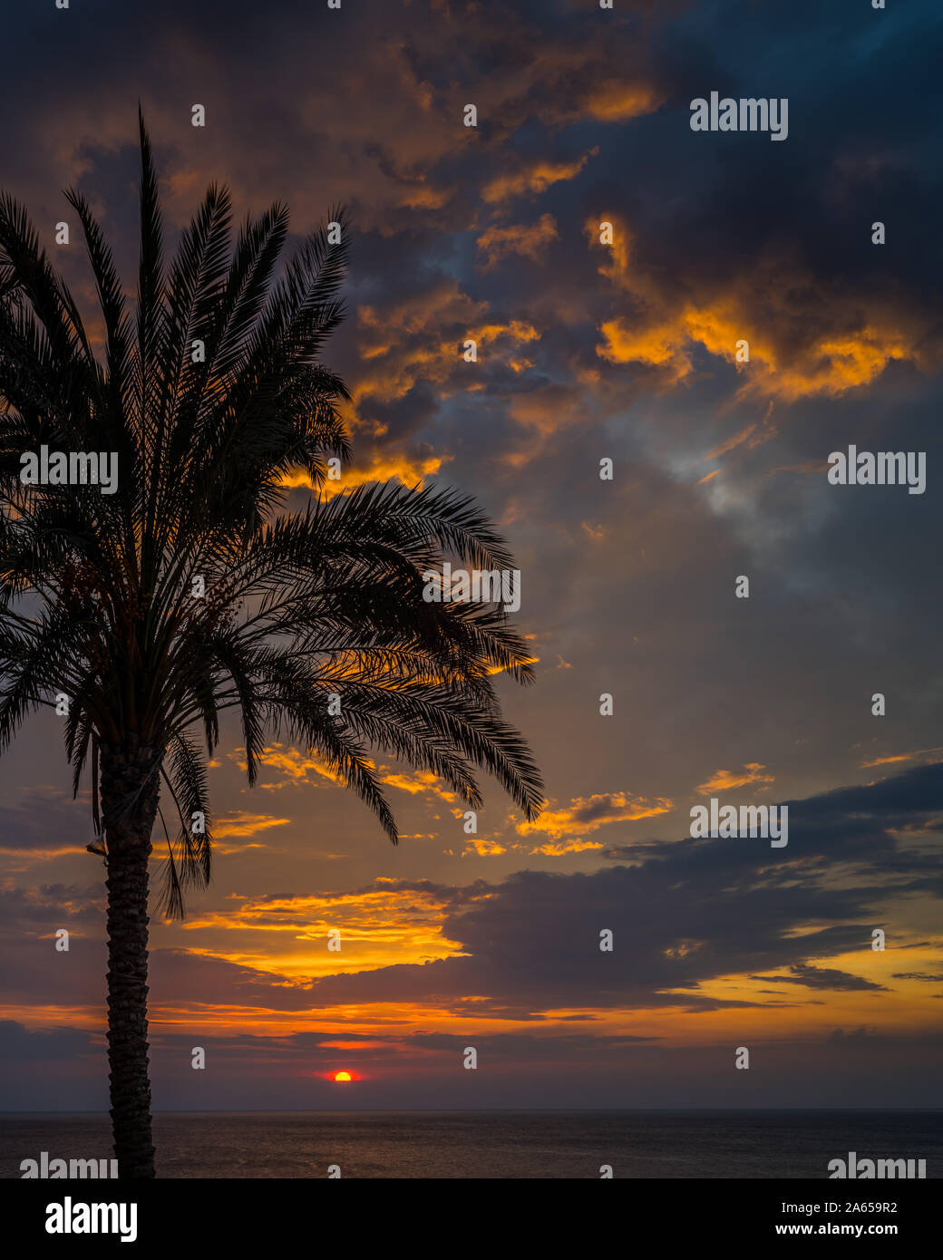 Amazing sunset colors and clouds with palm tree in fore ground Stock ...