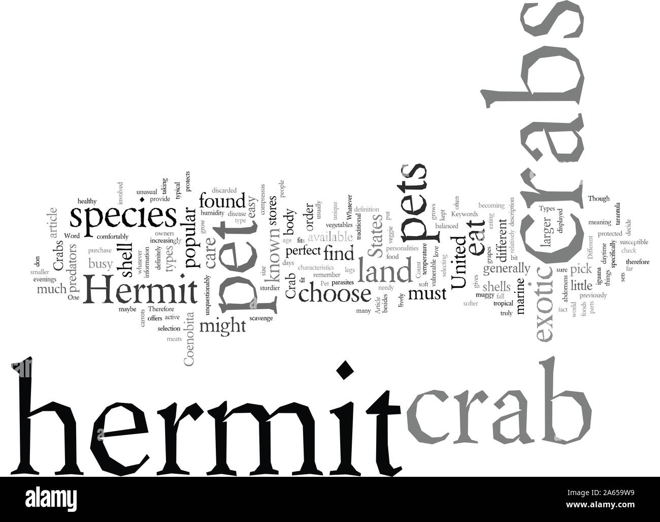 Abdomens Stock Vector Images - Alamy
