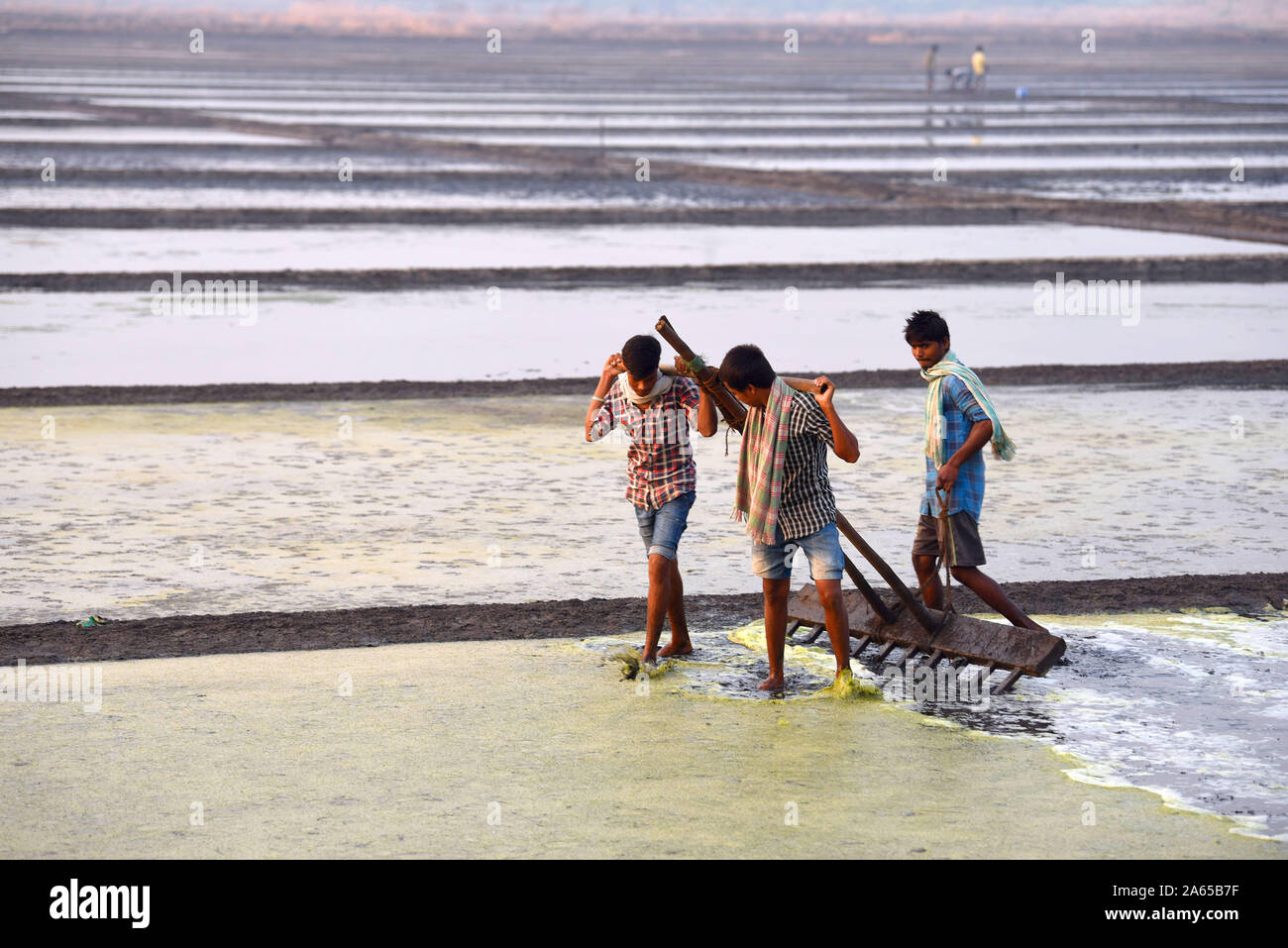 Men working in salt pans, Wadala, Mumbai, Maharashtra, India, Asia ...